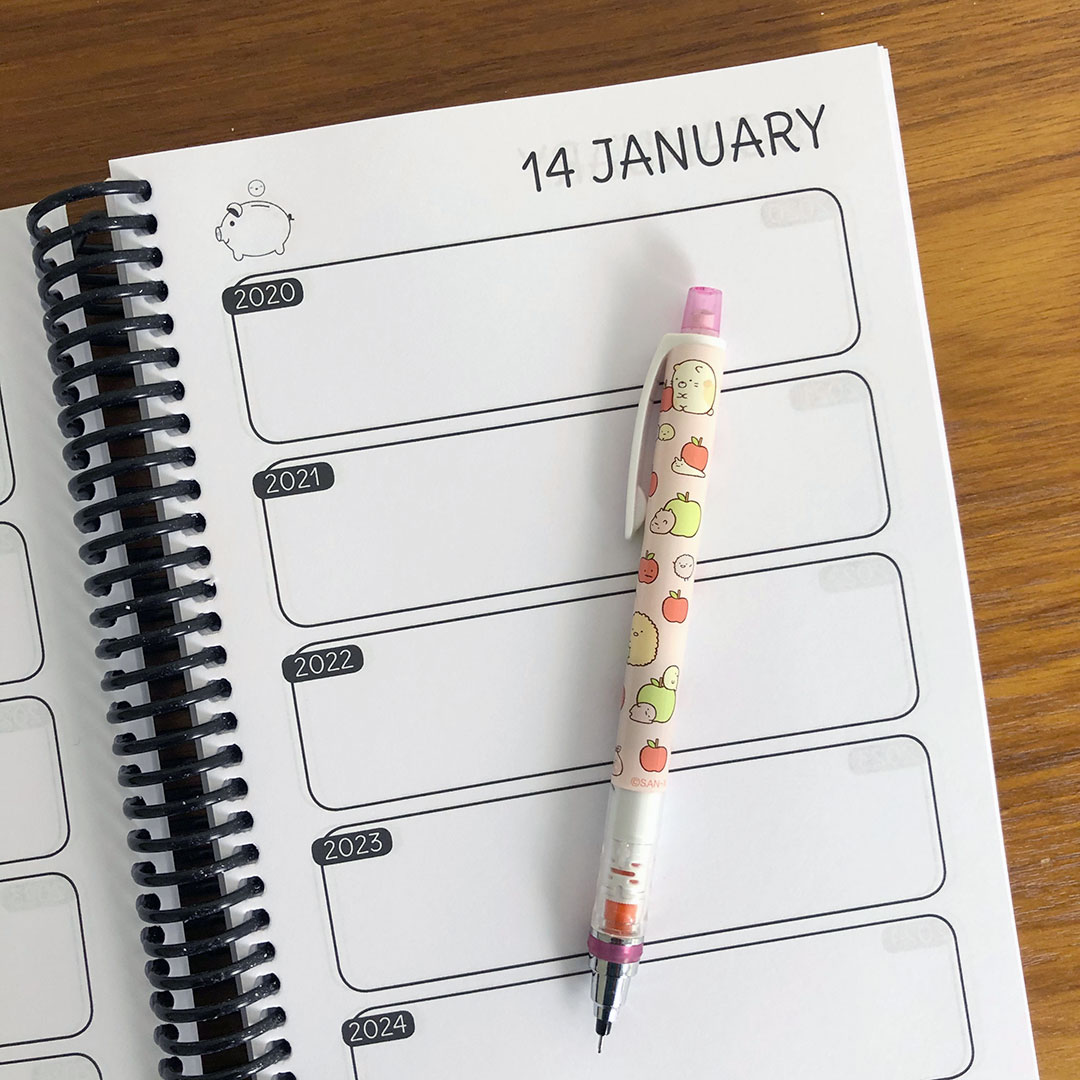 New 5 Year Diary for 2020-2024 – Asking For Trouble